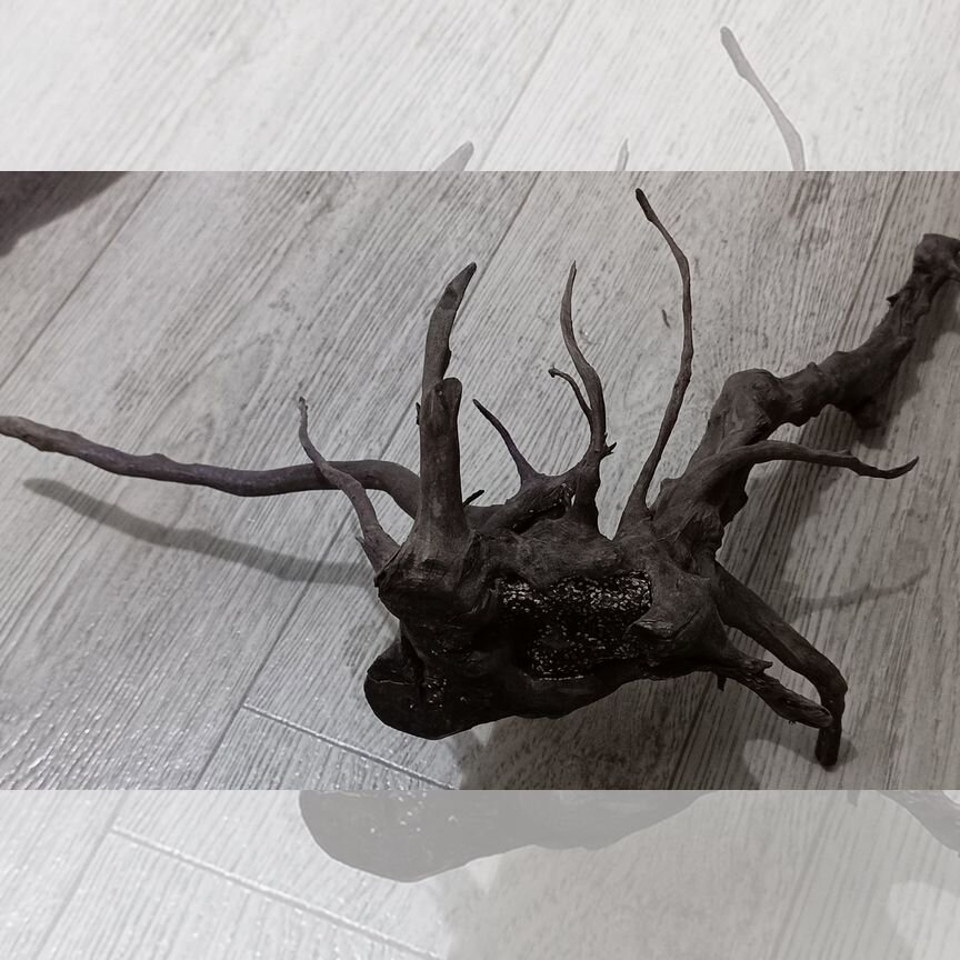 Коряга для аквариума бу