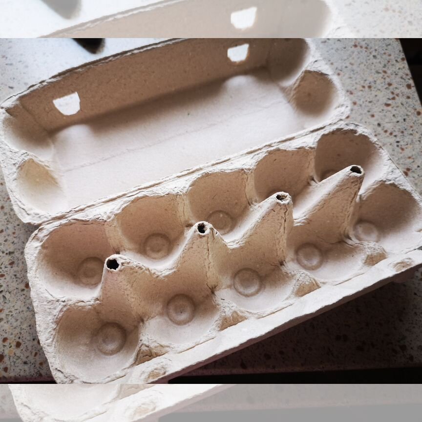 Лотки для яиц