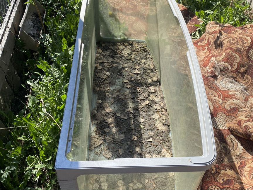 Аквариум с трещиной