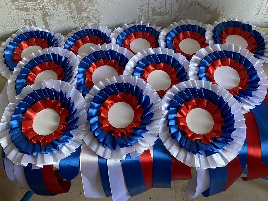 Наградные розетки