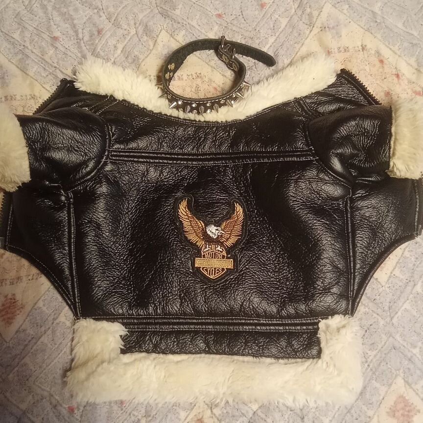 Дублёнка для собаки и ошейник