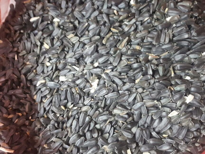 Семечки кормовые, 25 кг