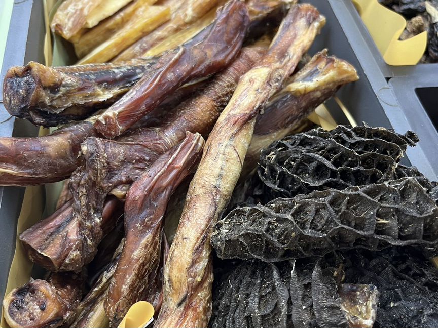 Корм для собак