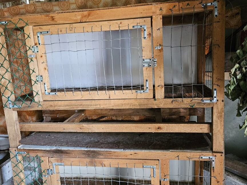 Клетки для кур и бройлеров