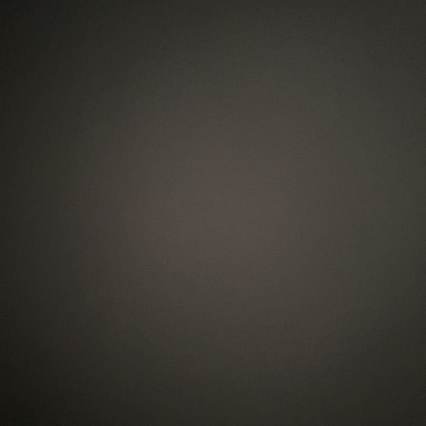 Продам гусей