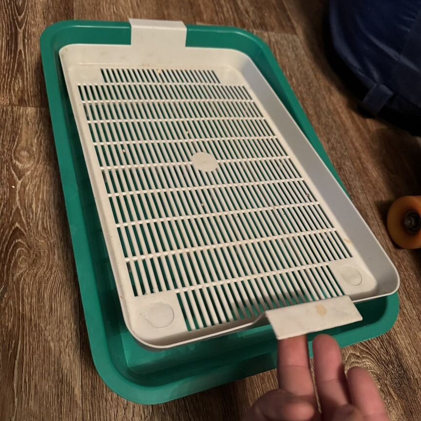 Кошачий лоток