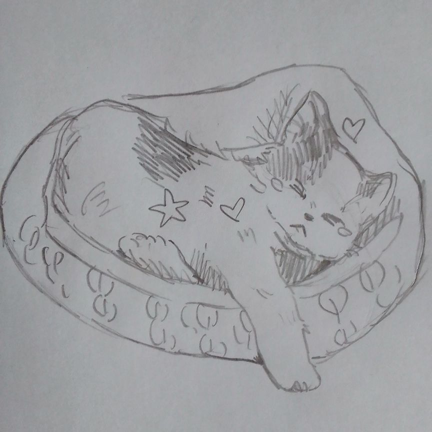 Нарисую вашего питомца