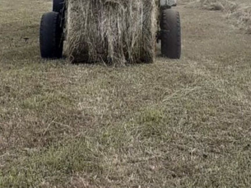 Сено в рулонах 2023-2022, испарсет, люцерна