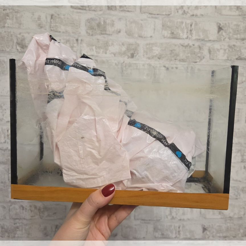 Аквариум на 5 литров