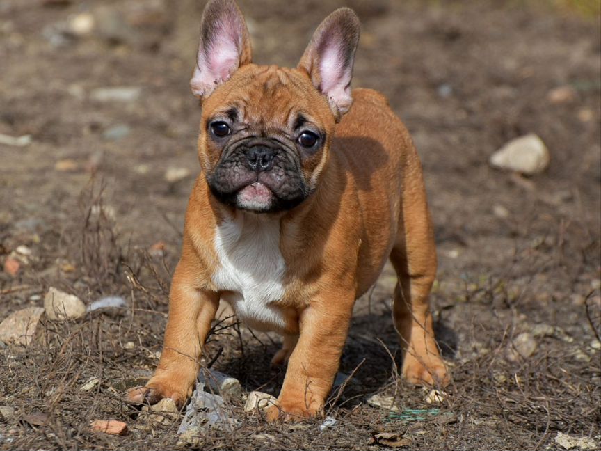 Нарядный парень