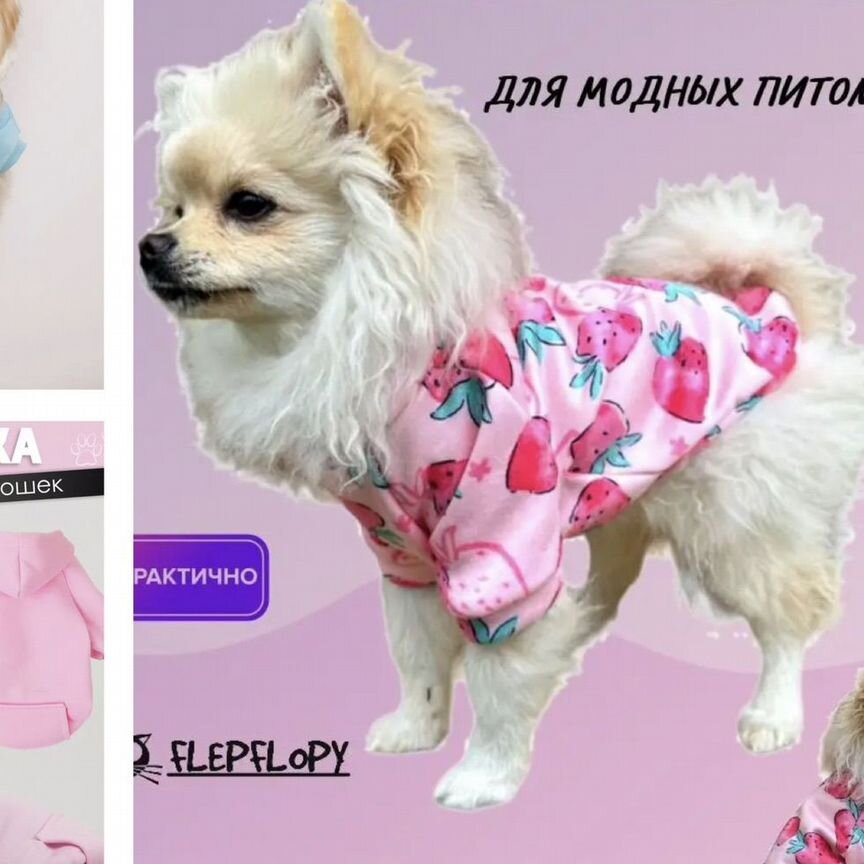 Одежда для собак и кошек сфинксов