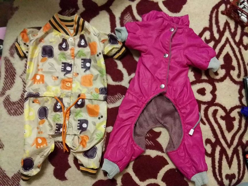 Одежда для маленьких собак и поводок