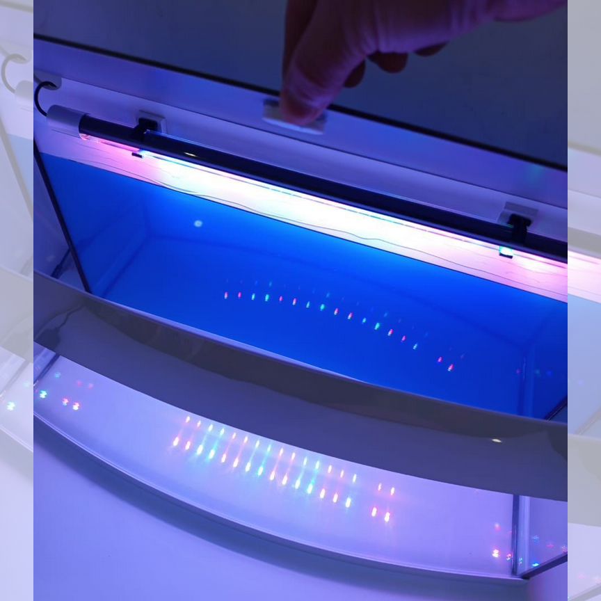 Аквариум Панорамный