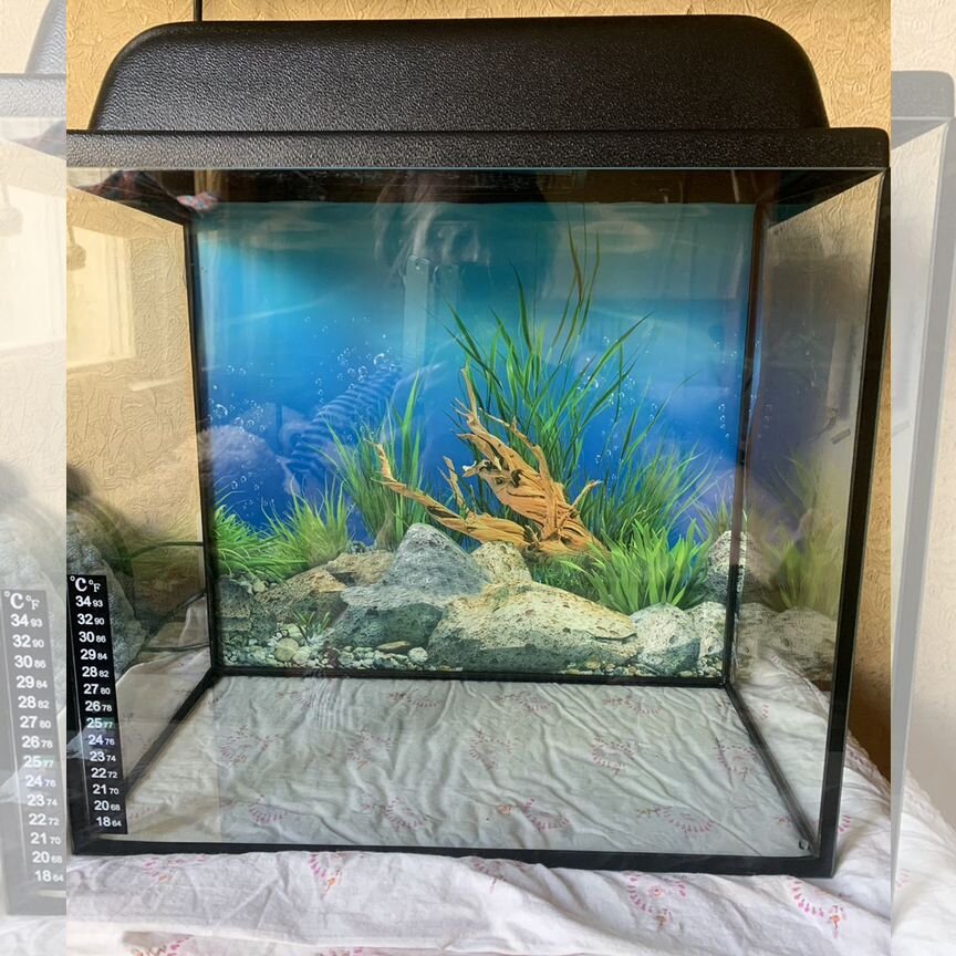 Аквариум 20 литров