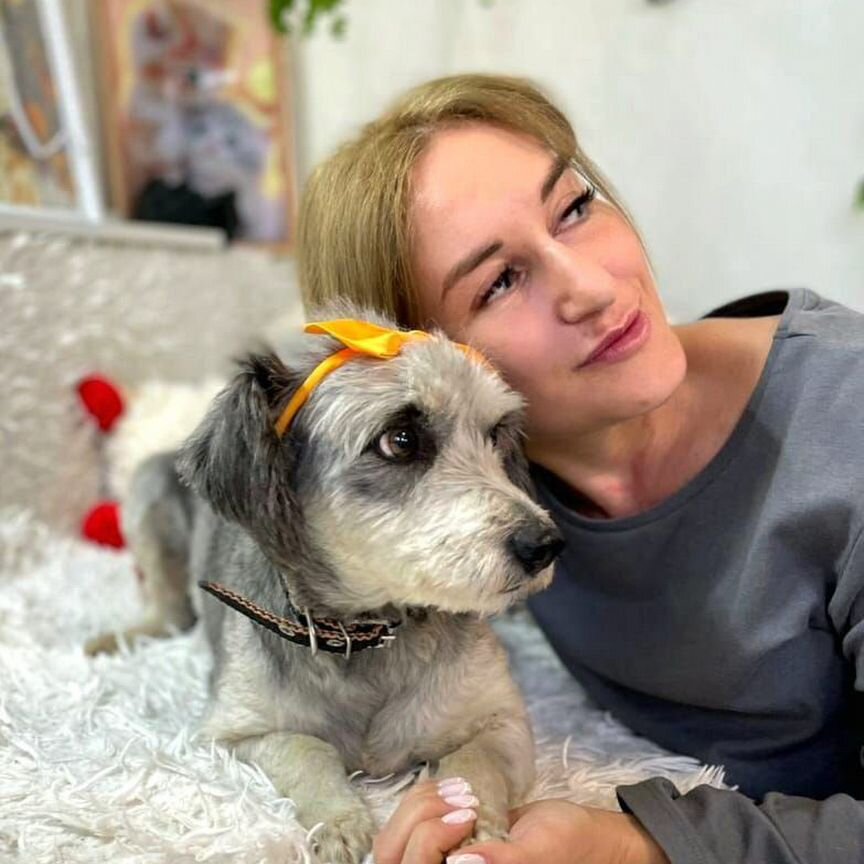 Комнатная собачка Ассоль в дар