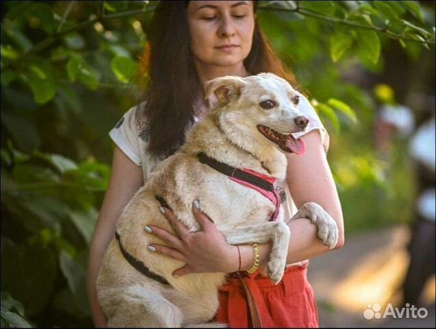 Маленькая крошка ищет хозяина