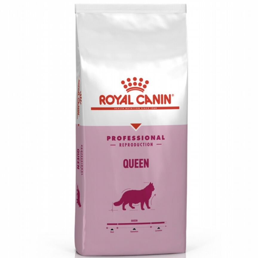 Корм для кошек royal canin квин