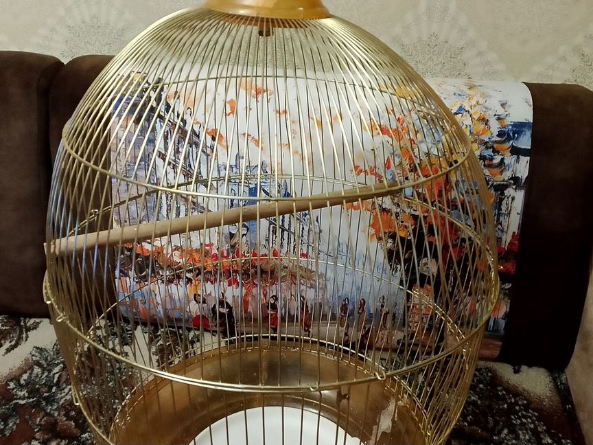 Клетка для попугая бу