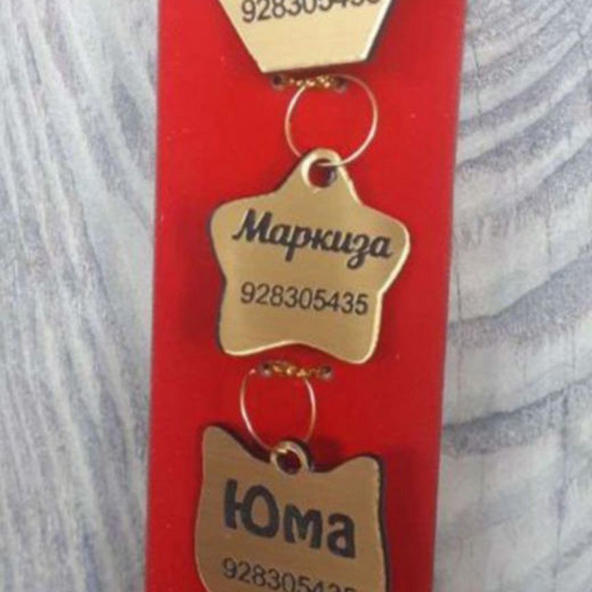 Адресник для маленьких собак и кошек