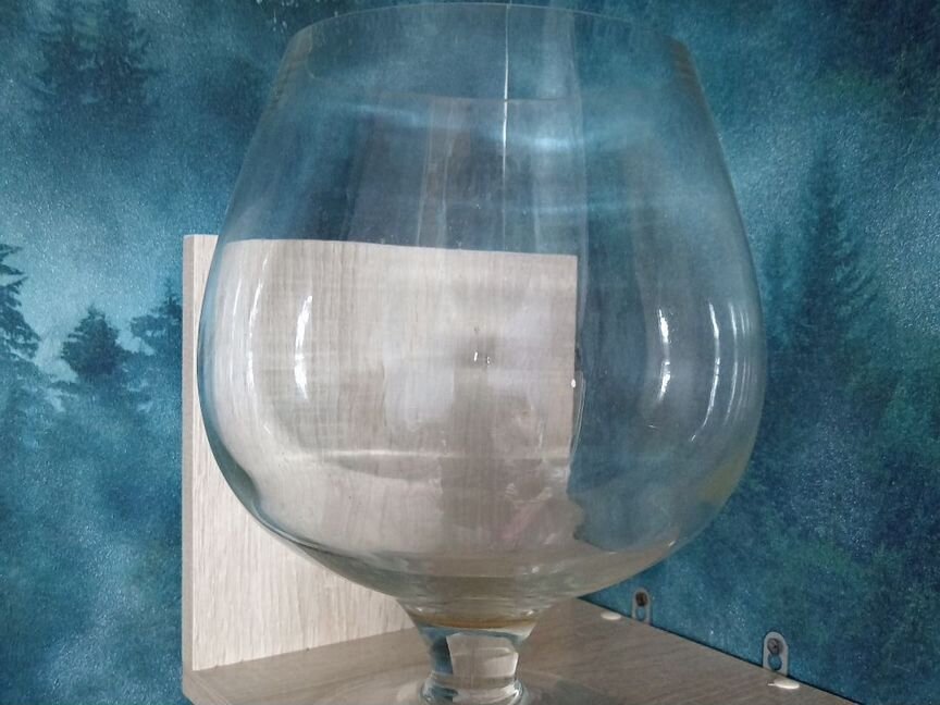 Аквариум рюмка