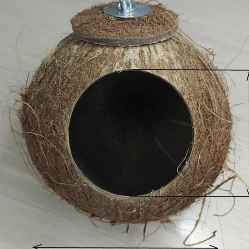 Гнездо для попугаев