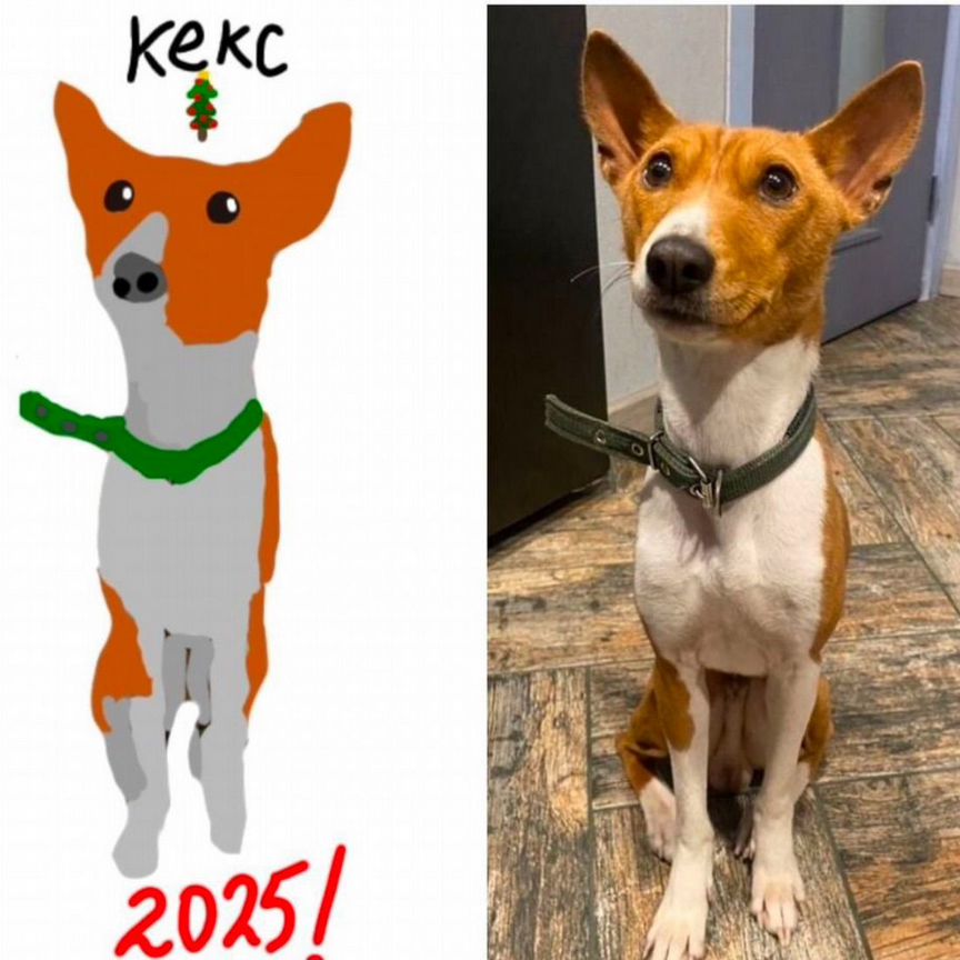 Рисую ваших питомцев в новогоднем стиле