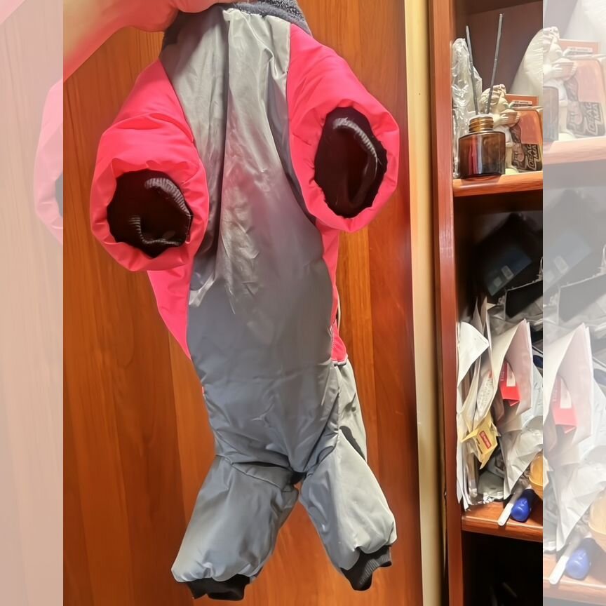 Одежда для собак