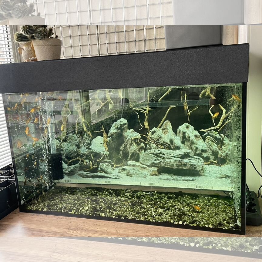 Аквариум на 150 литров