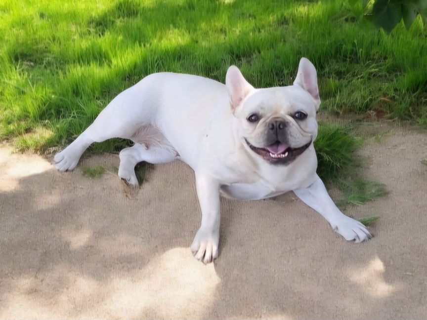 Подрощенная красотка