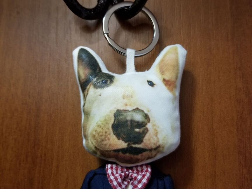 Господин Бультерьер