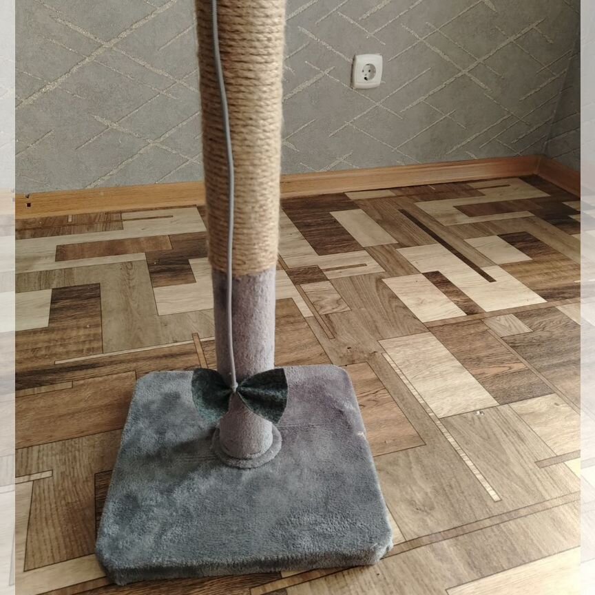 Когтеточка