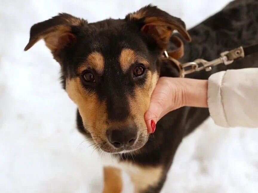 Милый Барни 5 мес