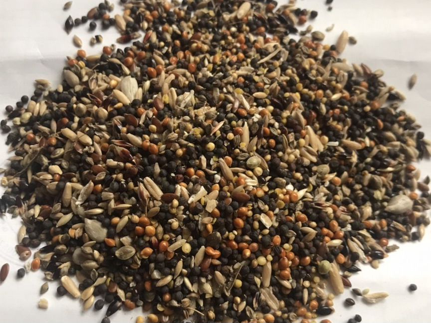 Корм для птиц