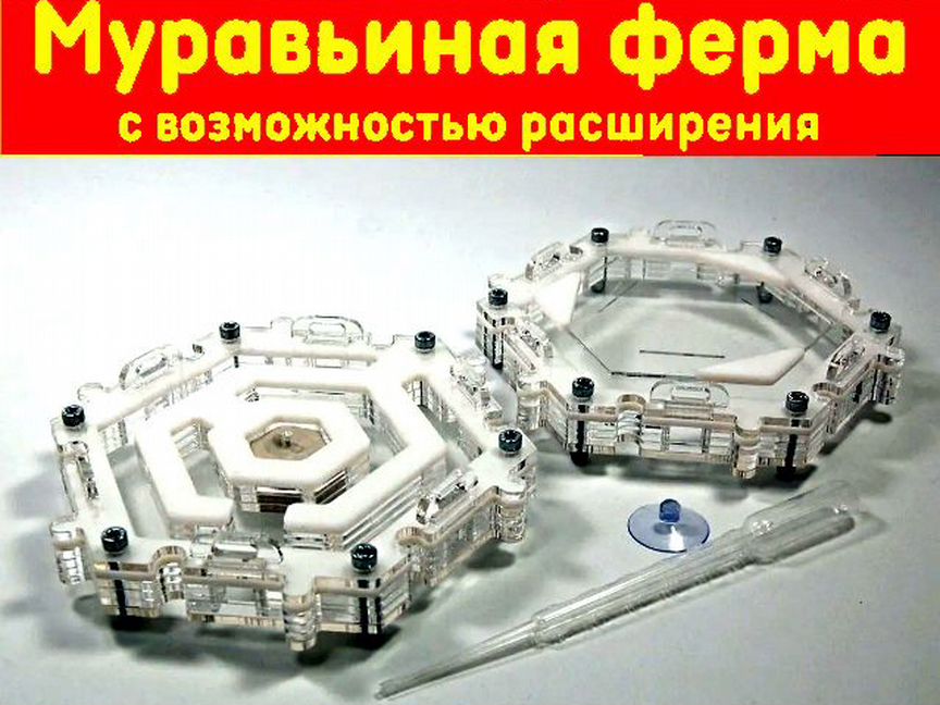 Муравьиная ферма сота № 3 модульная до 10 000 мура