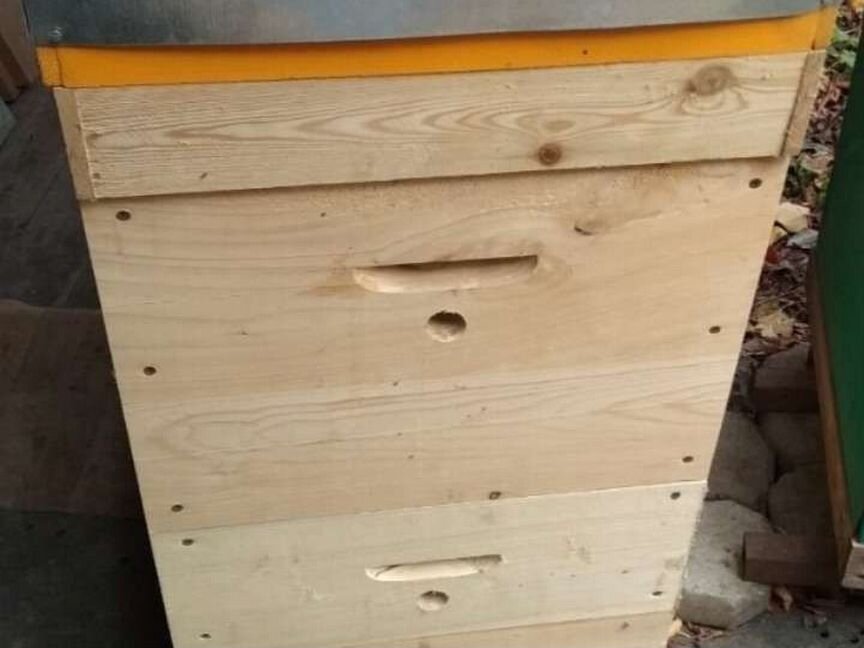 Улья улики новые