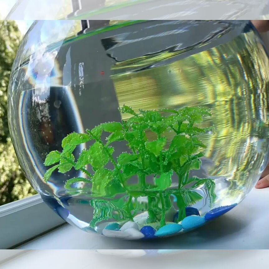 Аквариум 5 литров