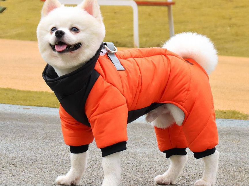 Комбинезон для собак