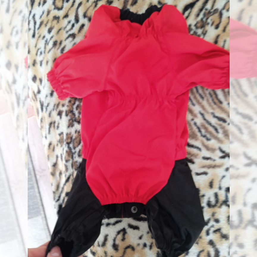 Комбенизон болоневый для маленькой собаки