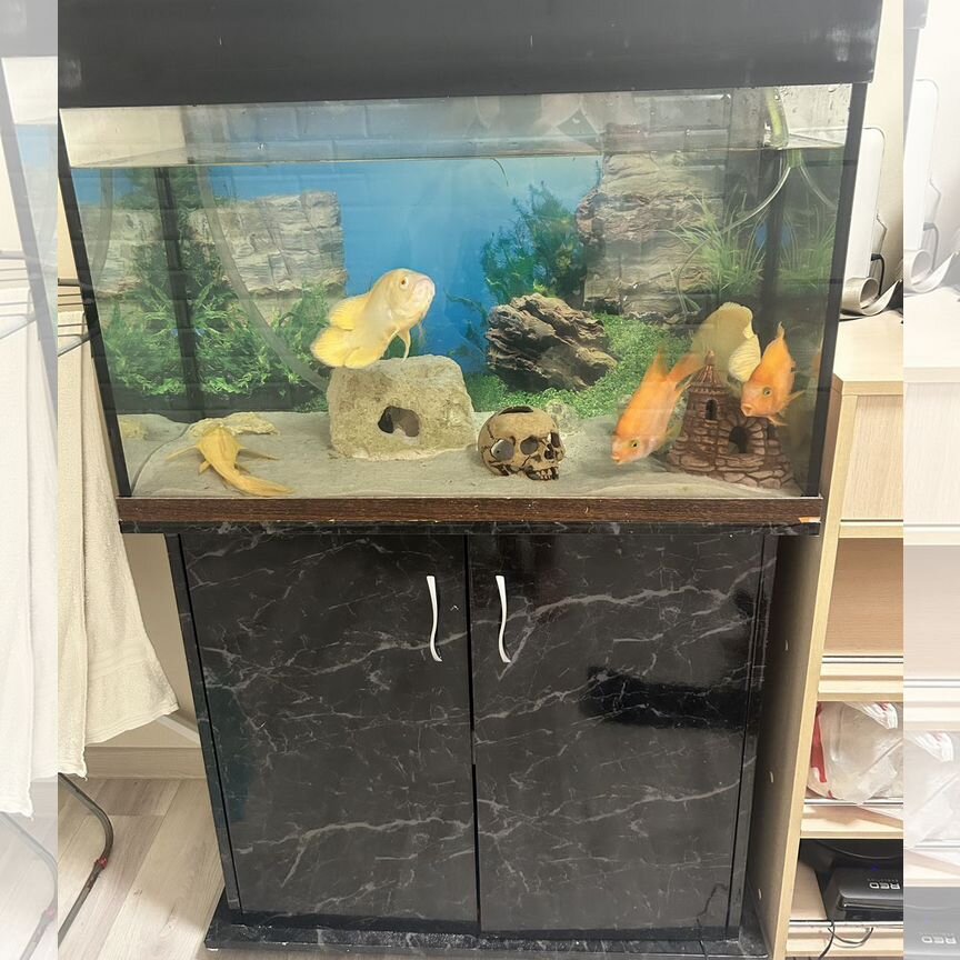Аквариум 120 литров с тумбой