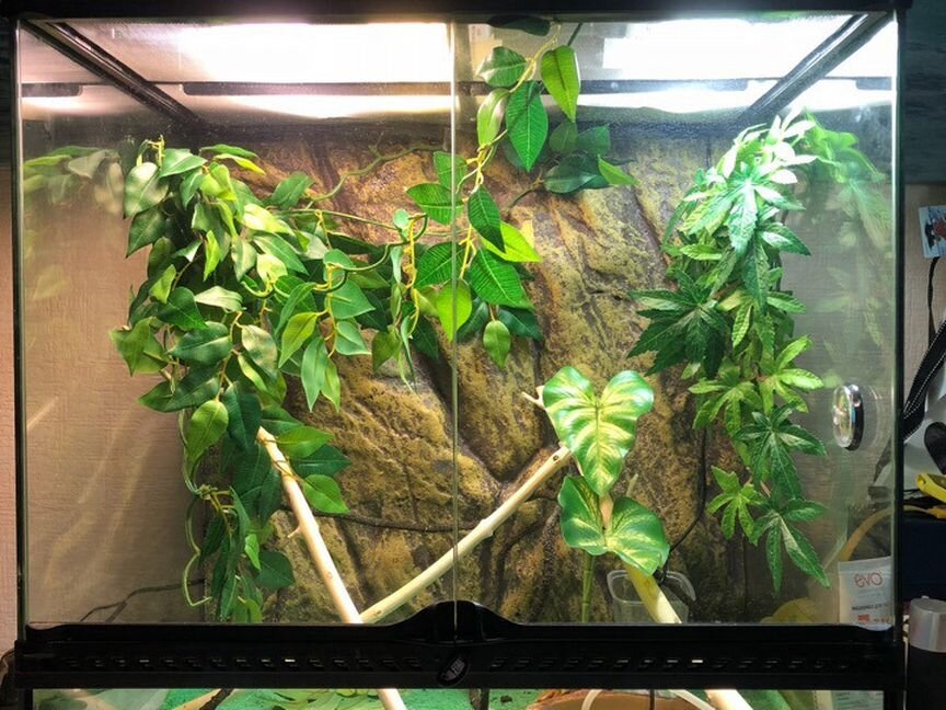 Террариум ExoTerra (60*45*60см)