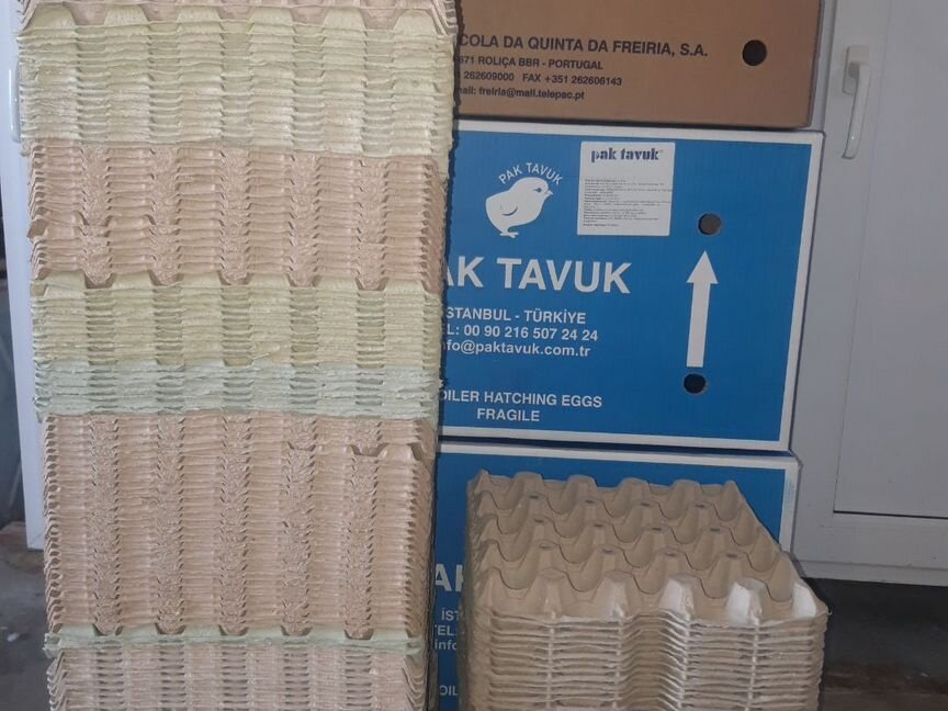Ячейки для яиц