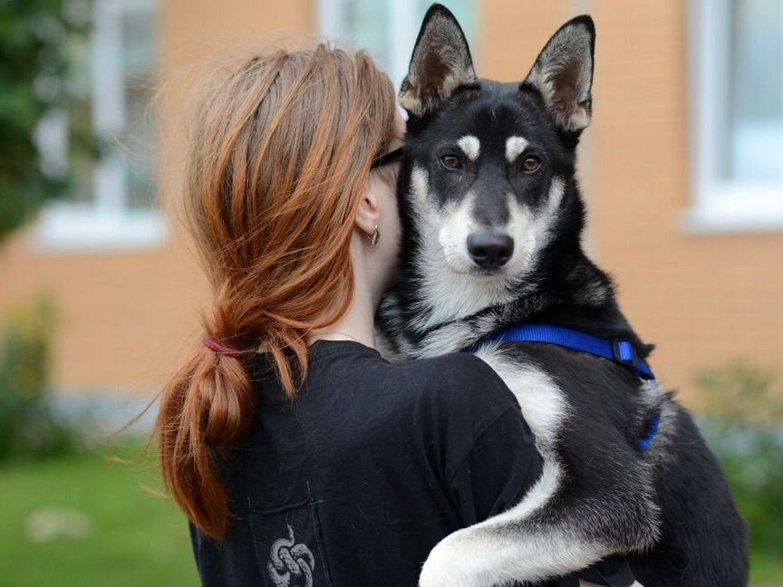Щенок мальчик Арсик 9 мес ищет дом