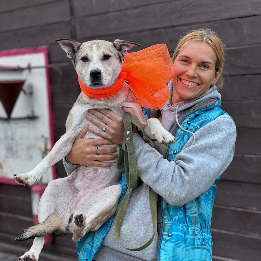 Домашняя собачка попала в приют