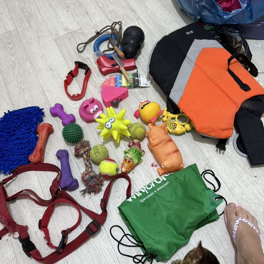 Игрушки ошейники и щетки для собак