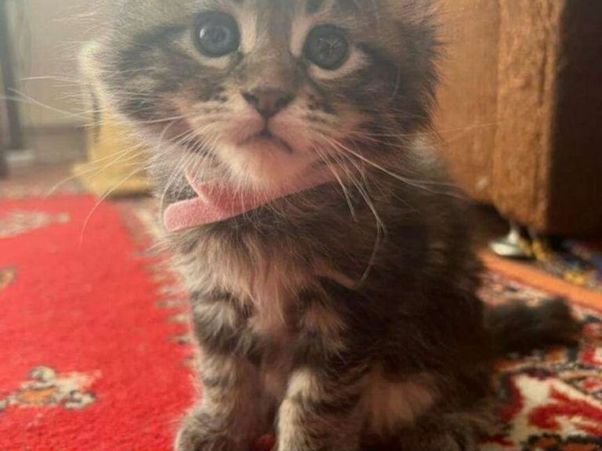 Детвора с кистями