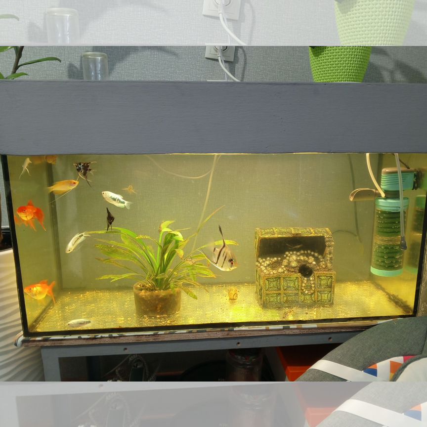 Аквариум 100 литров