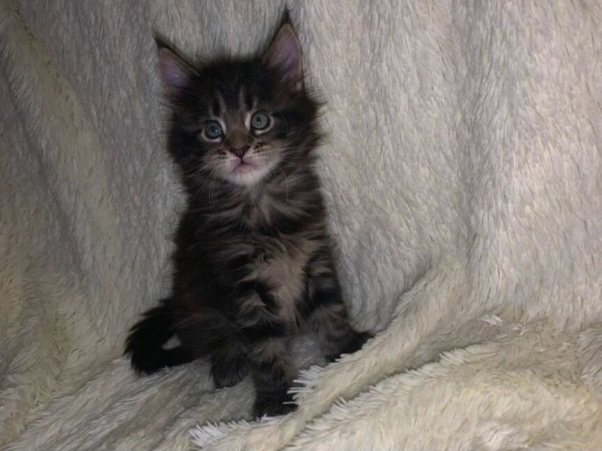 Твой типовые Антидепрессант