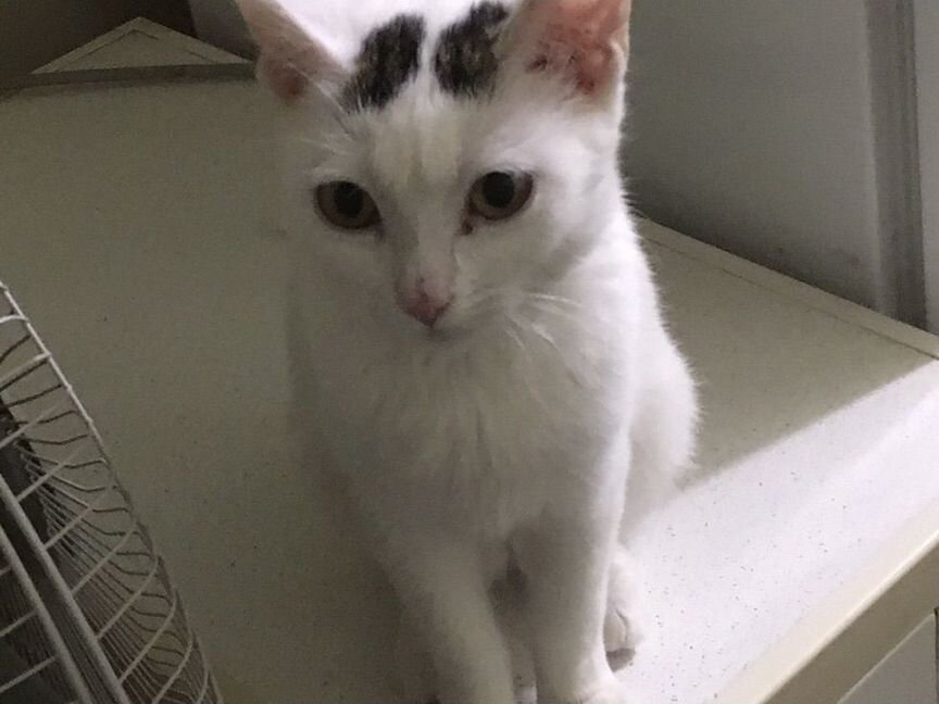 Нежная малышка