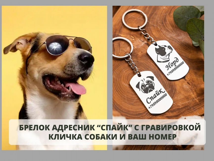 Адресник «Спайк» для собак и кошек. Гравировка кли