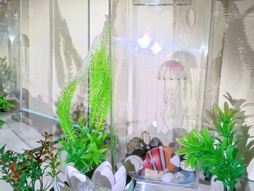 Аквариум самоочищающийся